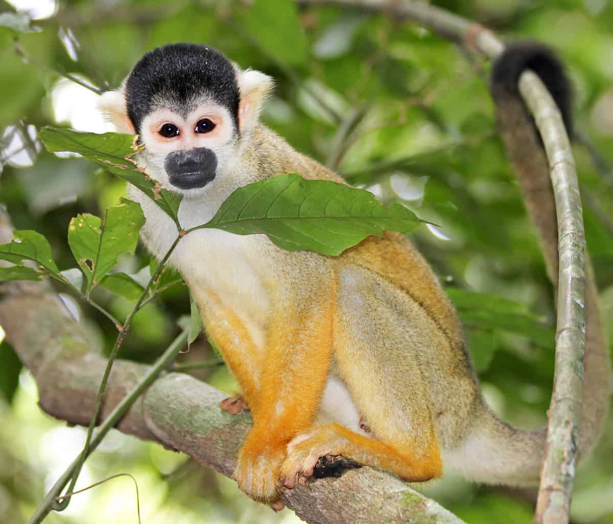 Clothes For The Rainforest: Your Amazon Jungle Packing List