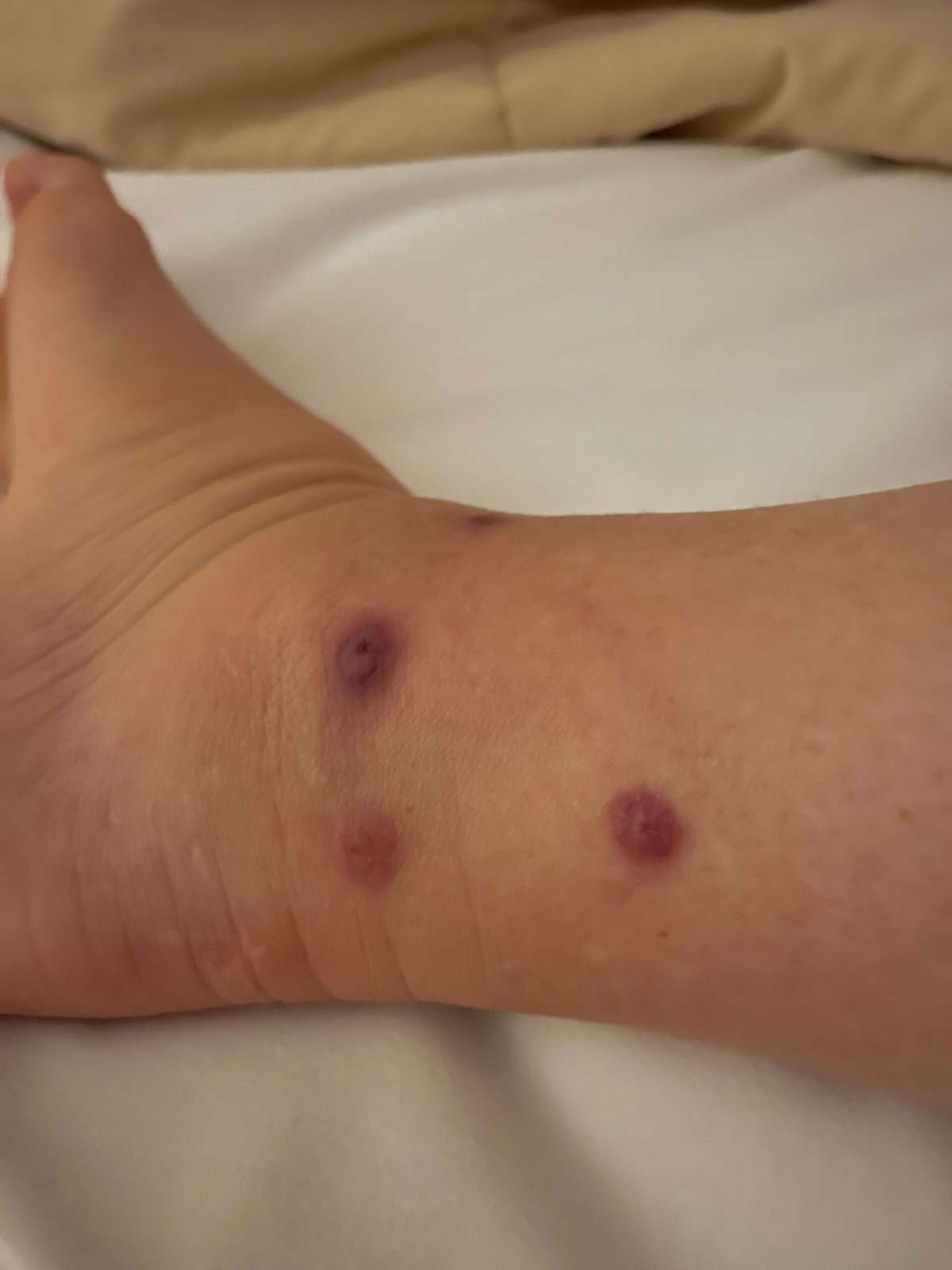 Cons of Machu Picchu: 10 Hidden Challenges of Your Dream Trip